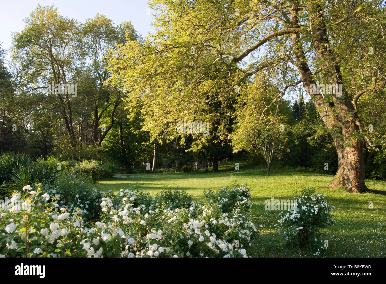 Springtime landscape, Sandanski town park, Balkans, Bulgaria Stock ...