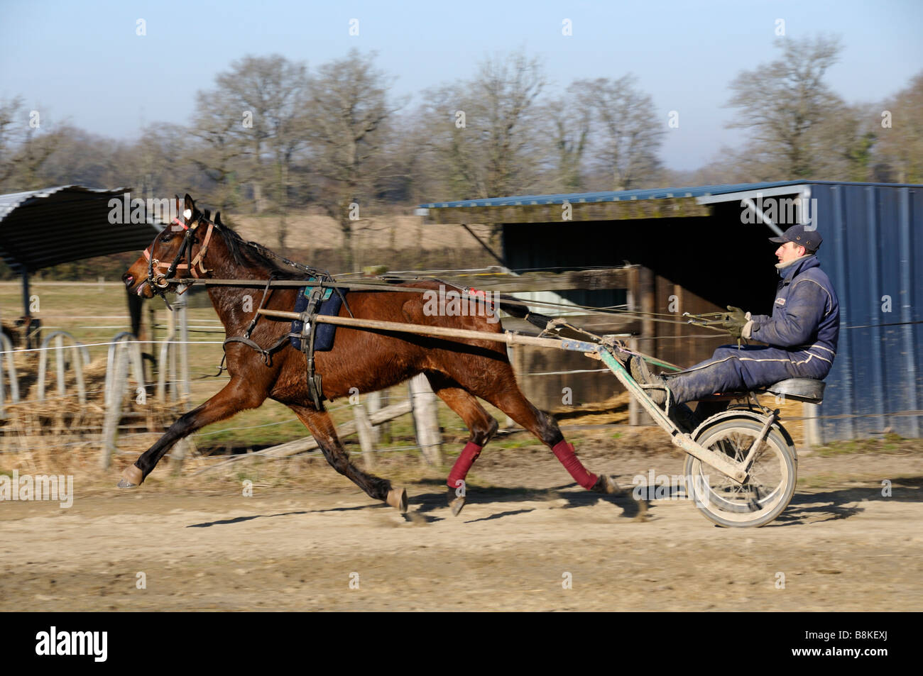 Trotting Track Stock Photos & Trotting Track Stock Images - Alamy