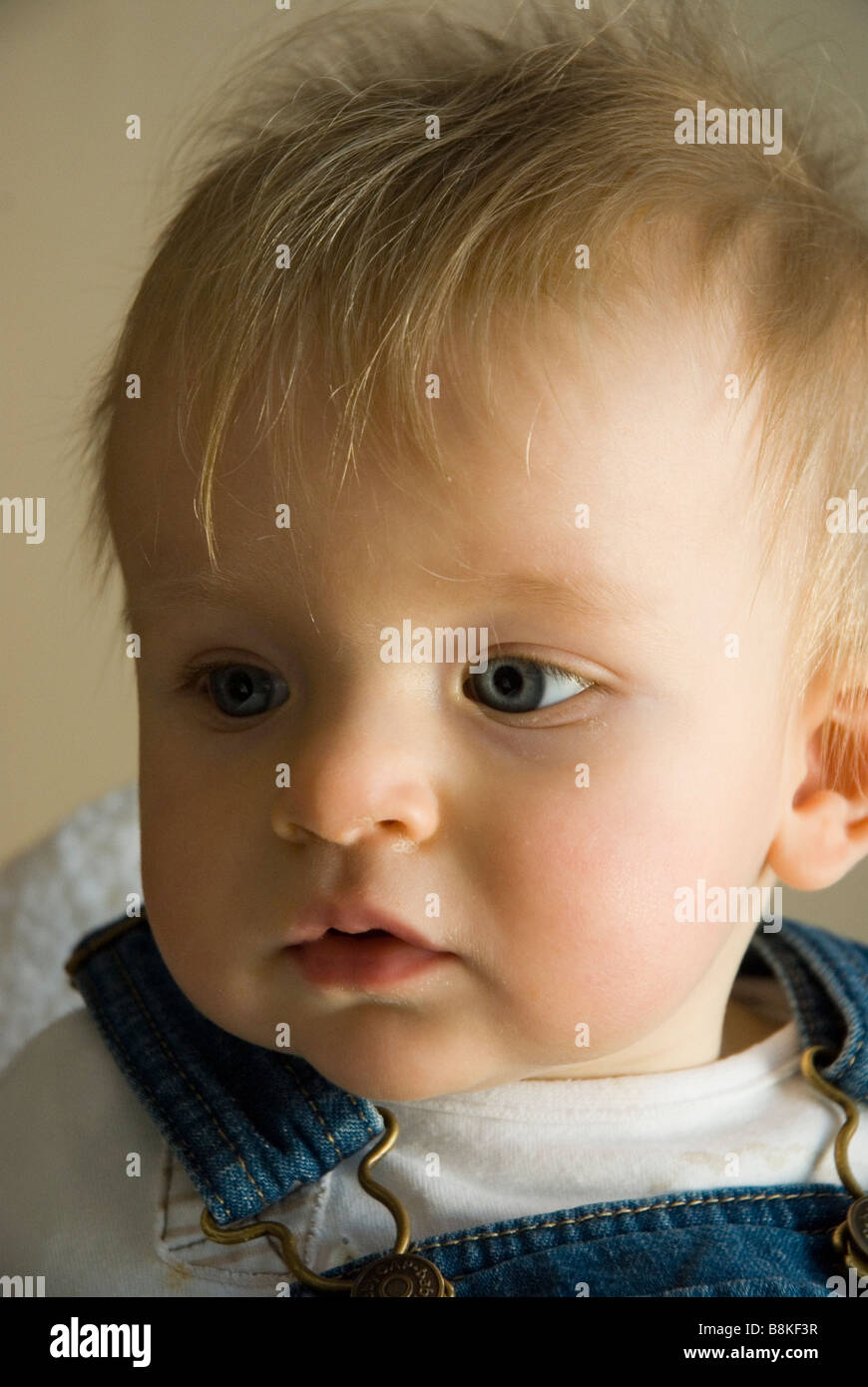 Portrait of a nine month old baby girl Stock Photo - Alamy