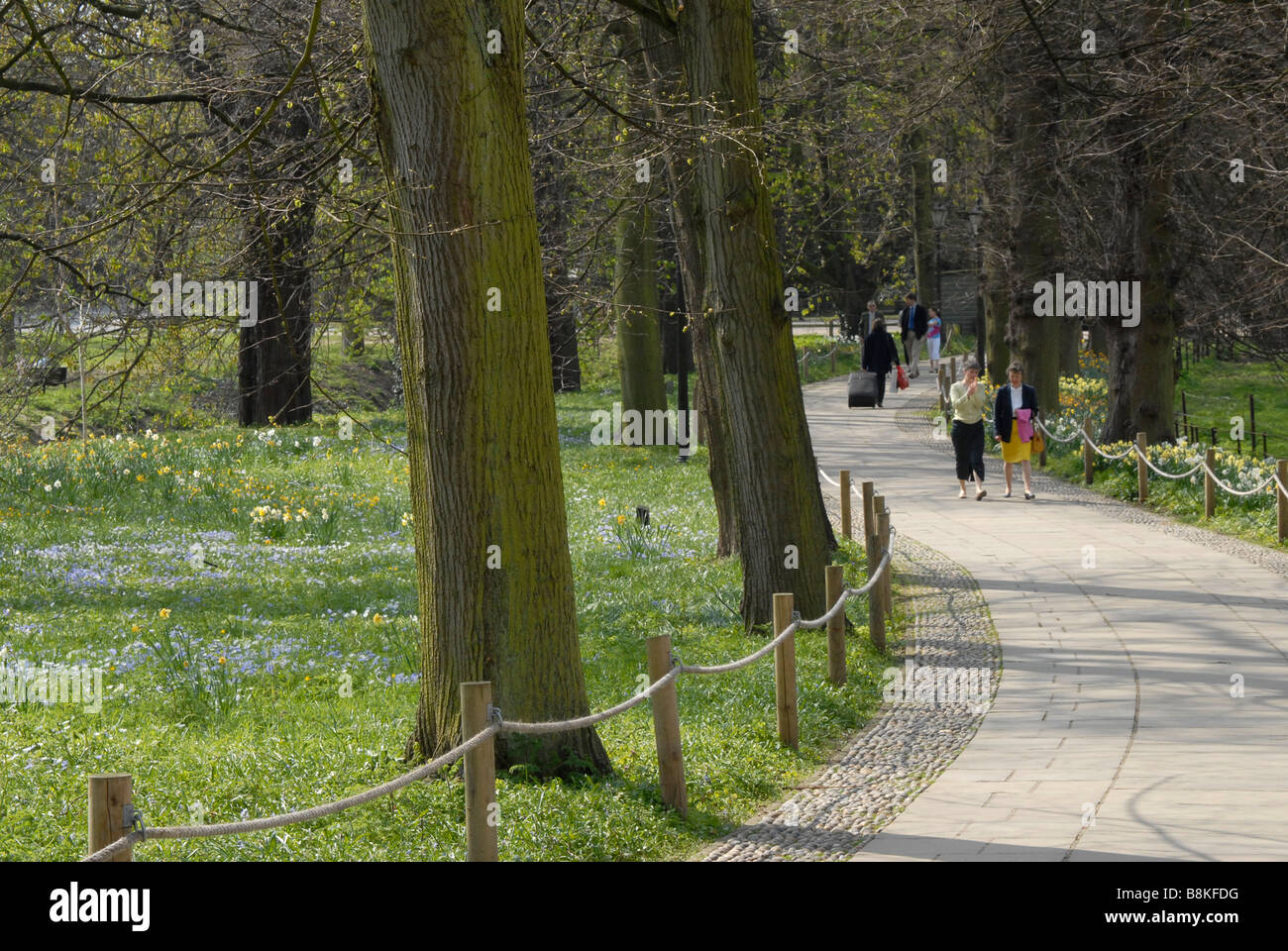 Cambridge path trees hi-res stock photography and images - Alamy