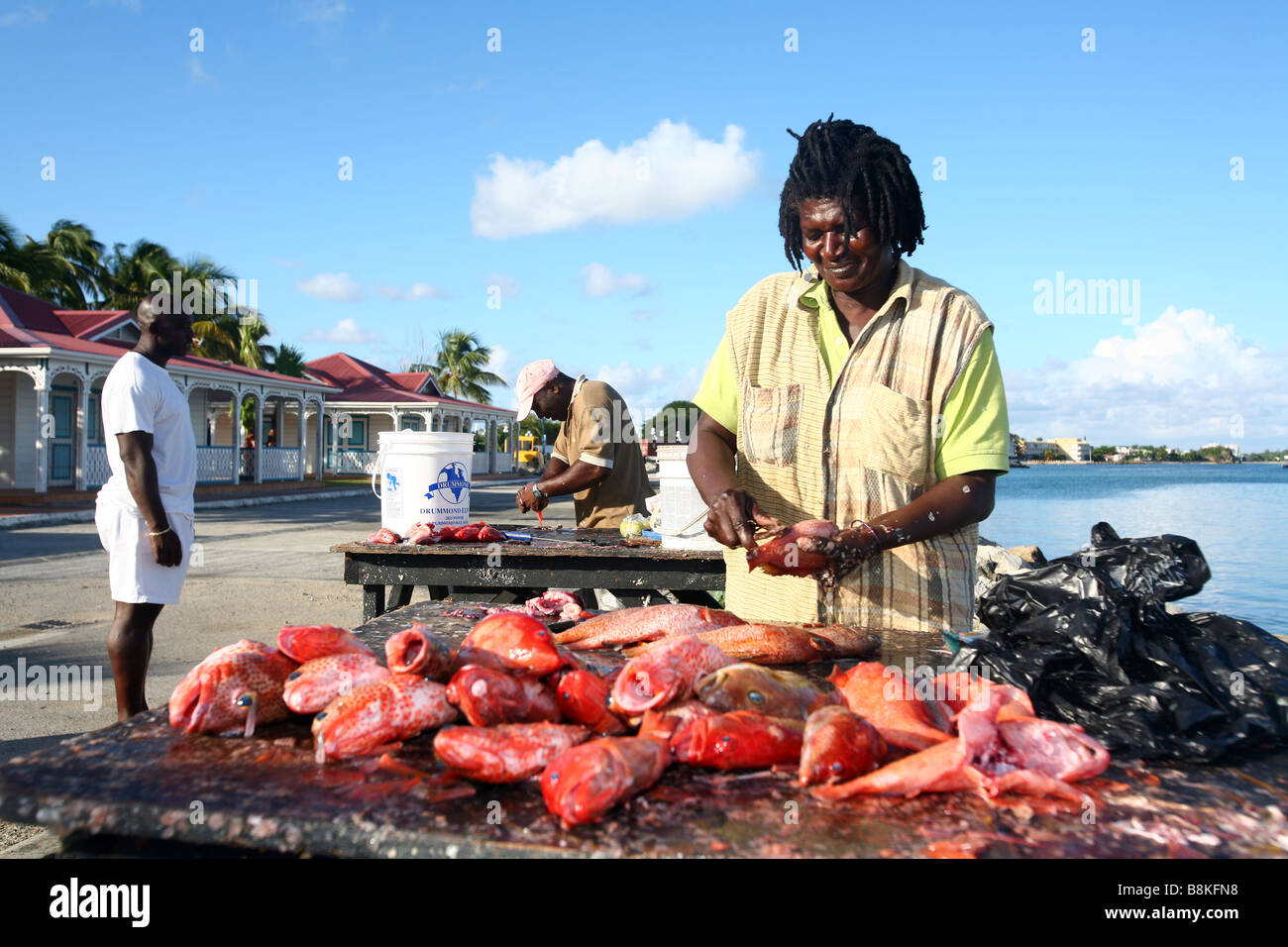 Women cleaning fish on the local market of the city Marigot on the ...
