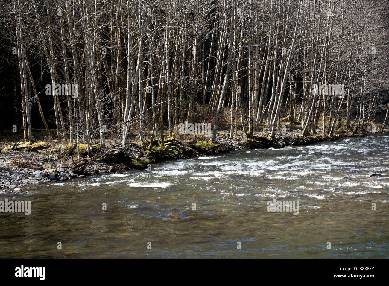Eagle Creek Columbia River Gorge Oregon Stock Photo - Alamy