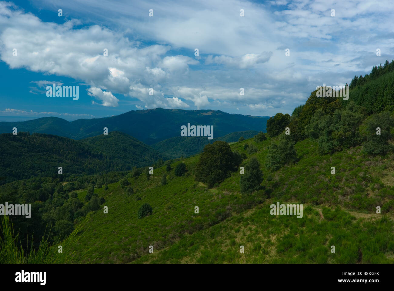 Vosges mountains hi-res stock photography and images - Alamy