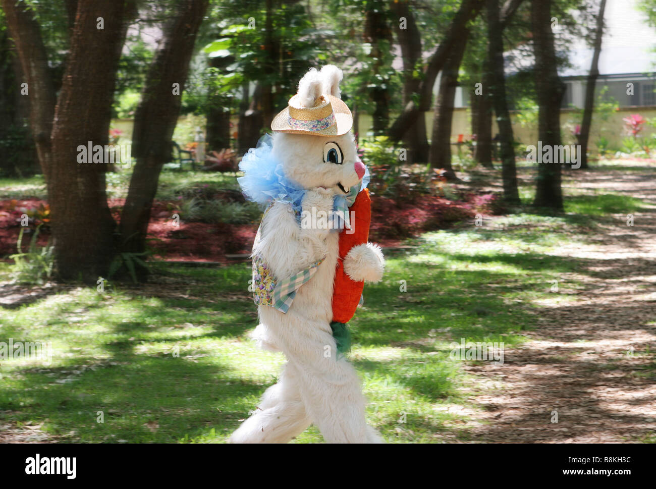 Easter bunny and running hi-res stock photography and images - Alamy