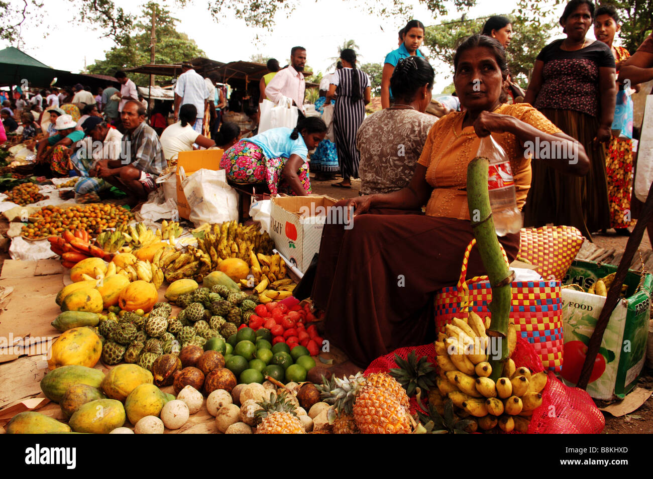 Negombo, lifestyle, Natural Food, Sri Lanka,photo Kazimierz Jurewicz ...