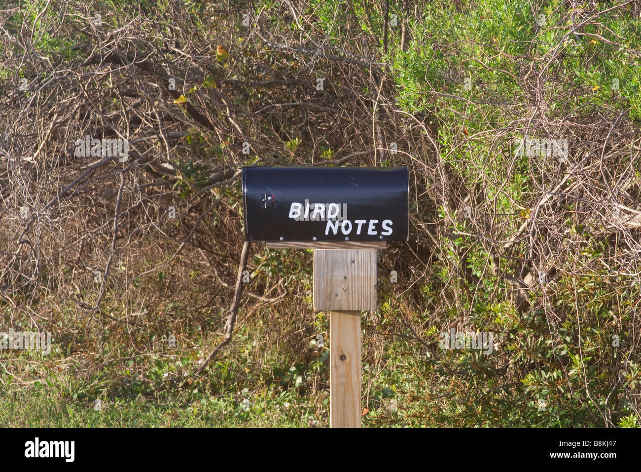 A mailbox for "bird notes" stands in a state park near Myrtle Beach ...