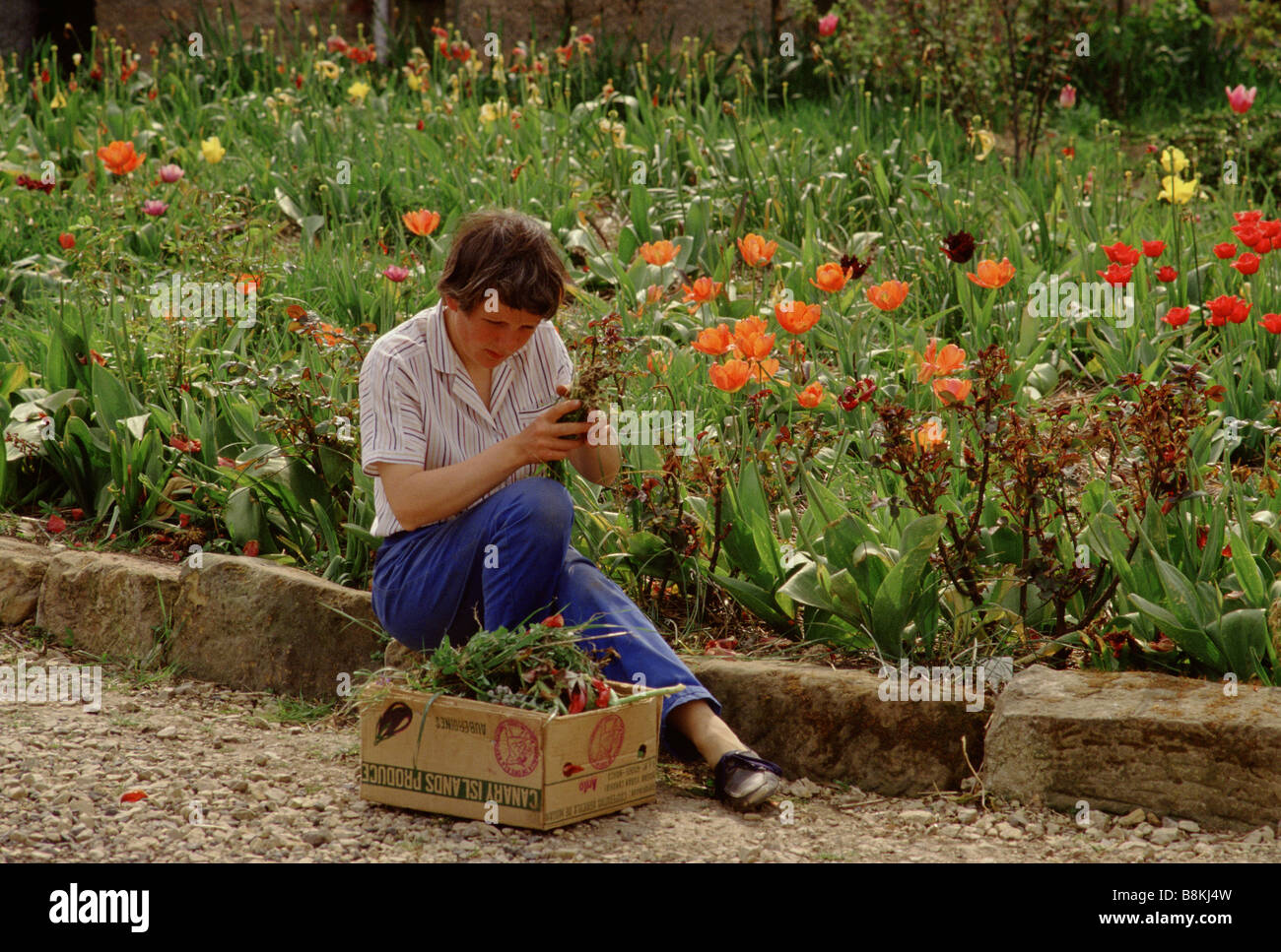 Botton Village for people with learning disabilities Yorkshire: A ...