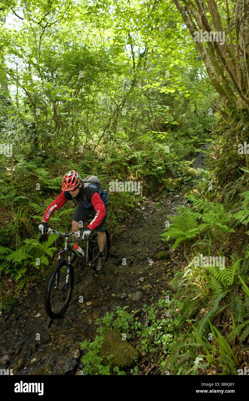 Downhill mountain bike shadow hi-res stock photography and images - Alamy