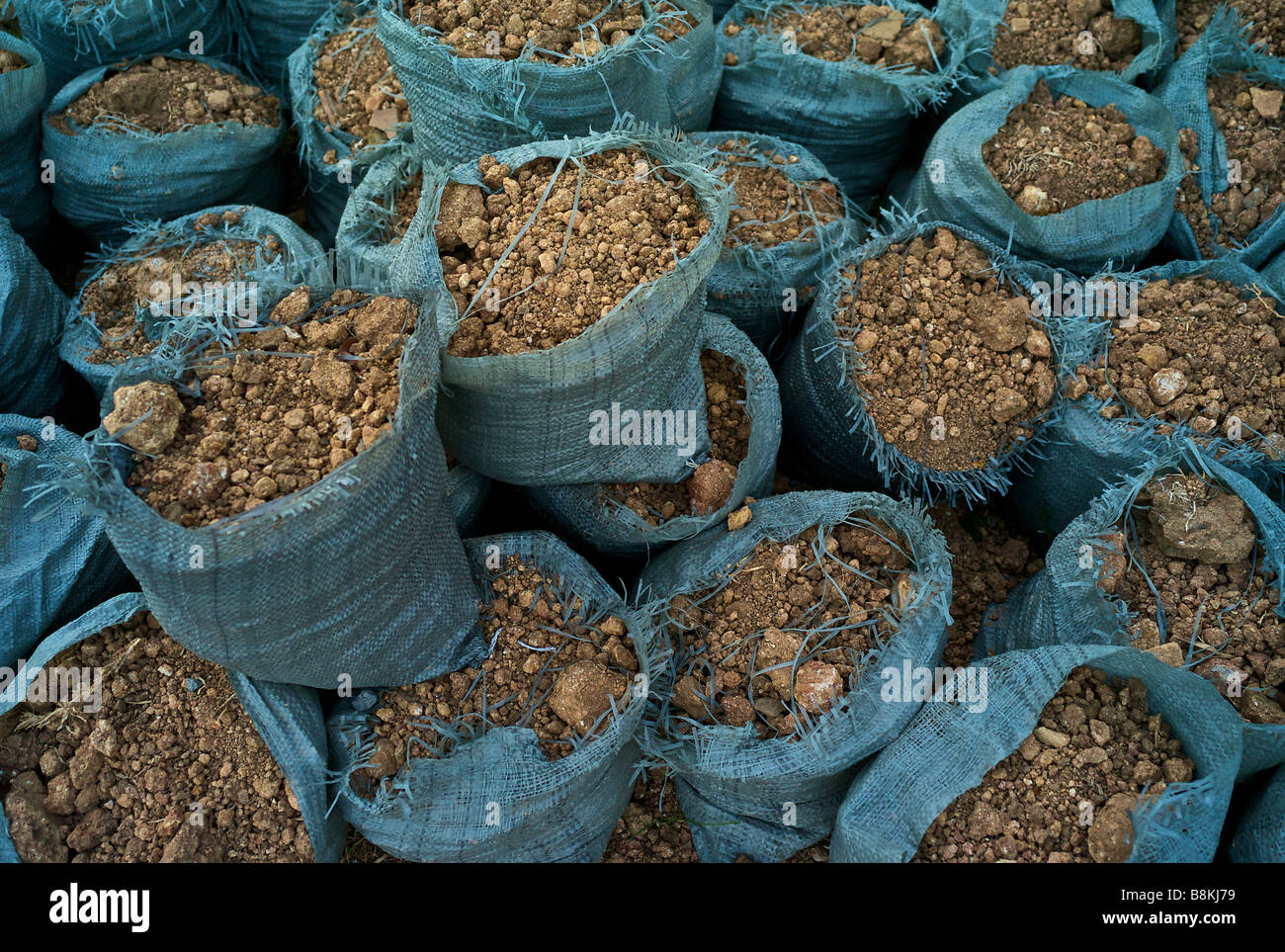 City of Knowledge Detail of blue bags filled with soil Stock Photo - Alamy