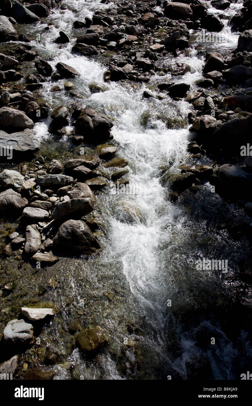Stream with stones hi-res stock photography and images - Alamy
