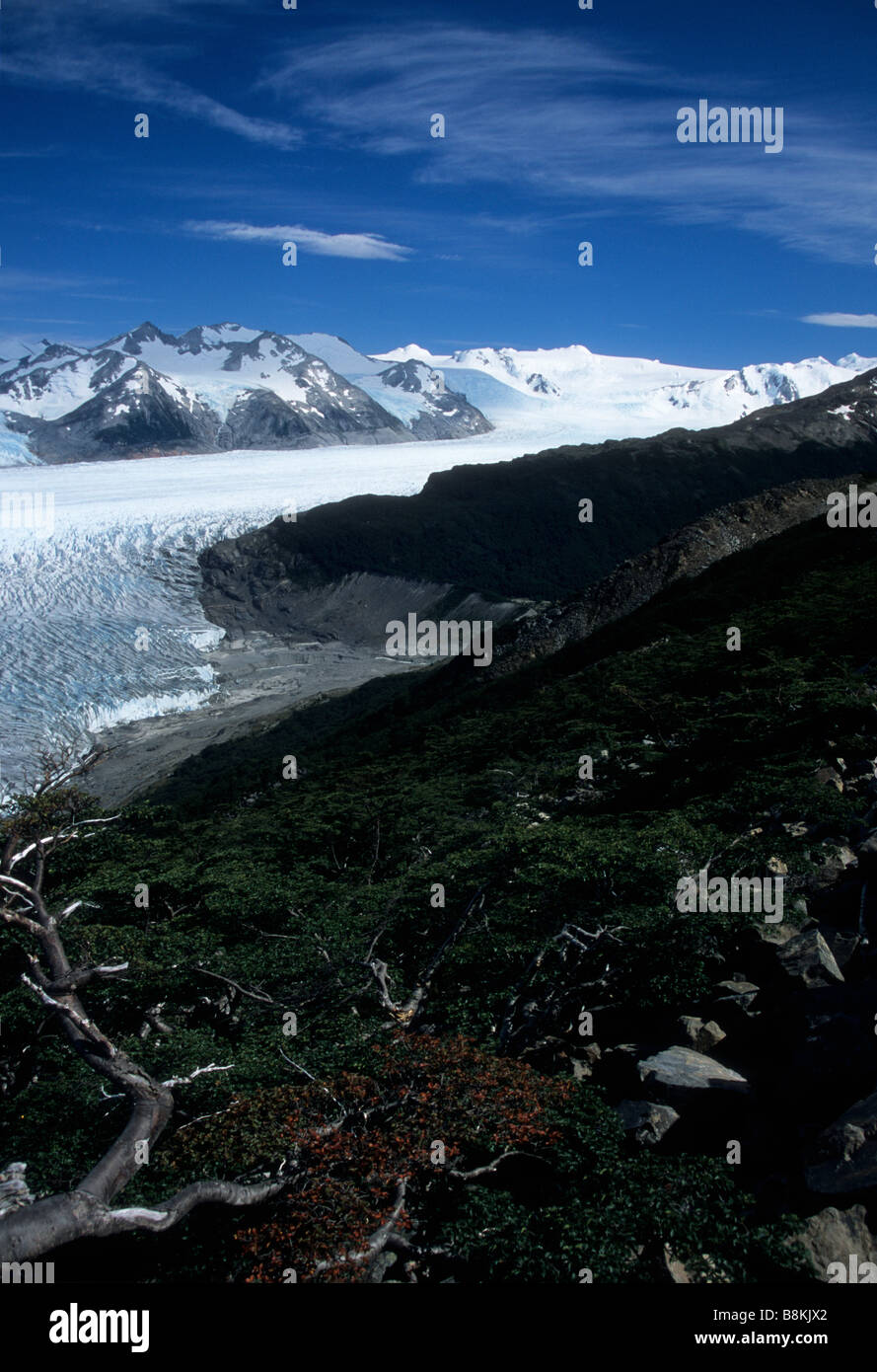 Nothofagus forest magallanes chile hi-res stock photography and images ...