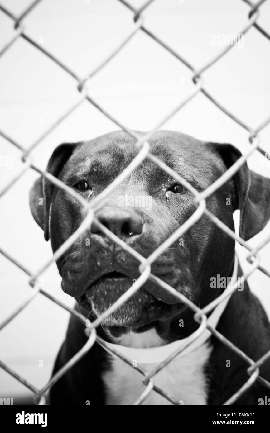 Rescue pit Black and White Stock Photos & Images - Alamy