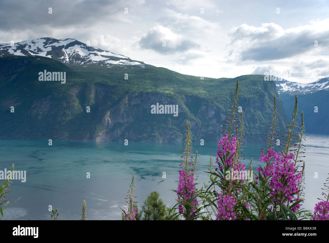 Storfjorden, Near Valldal, More og Romsdal, Norway Stock Photo - Alamy