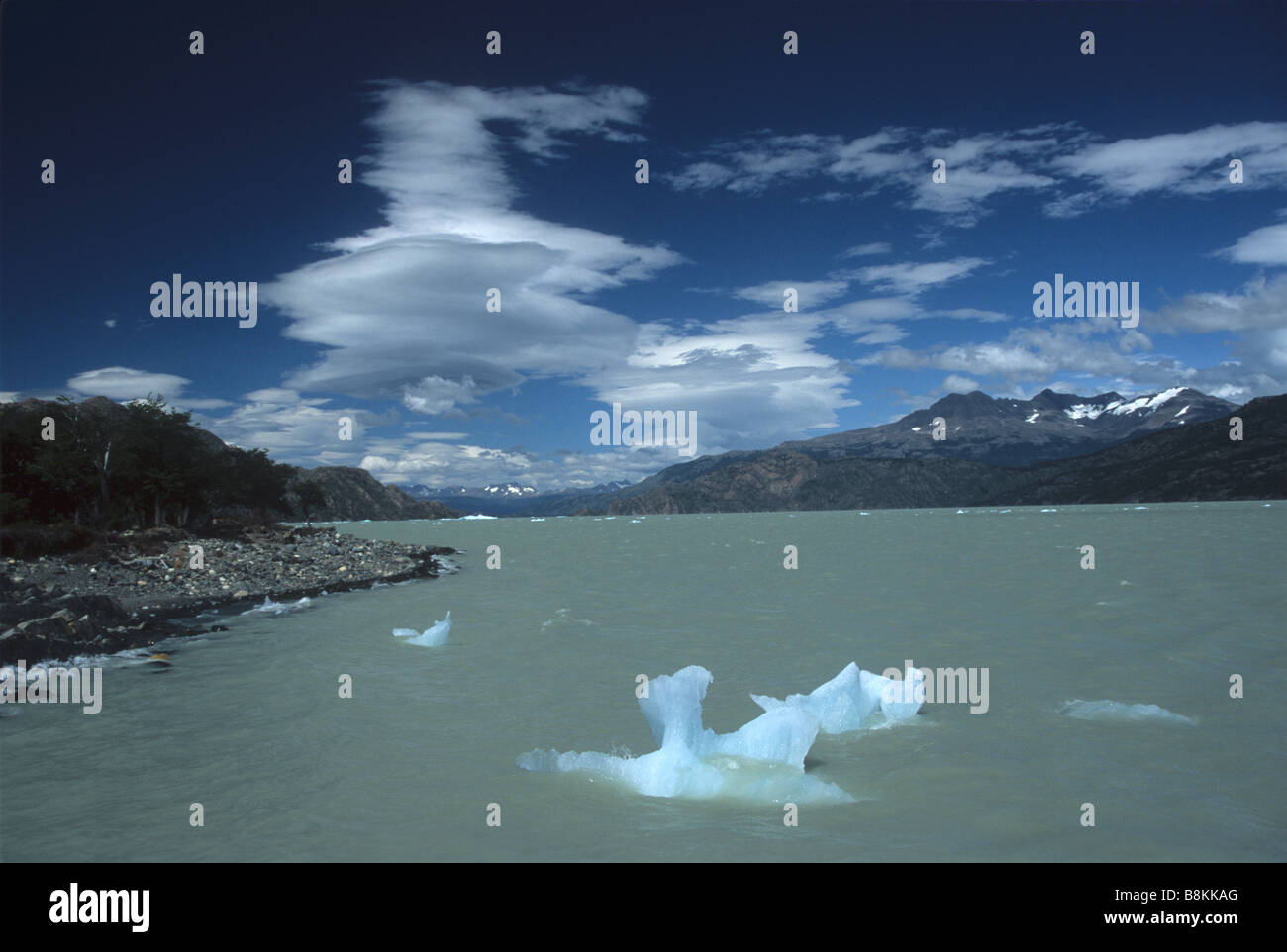Lake Grey and iceberg, Torres del Paine National Park, Patagonia, Chile ...