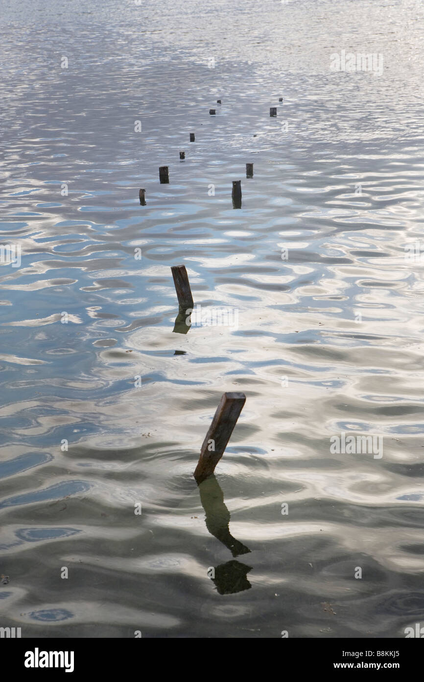 Old wooden pilings hi-res stock photography and images - Alamy