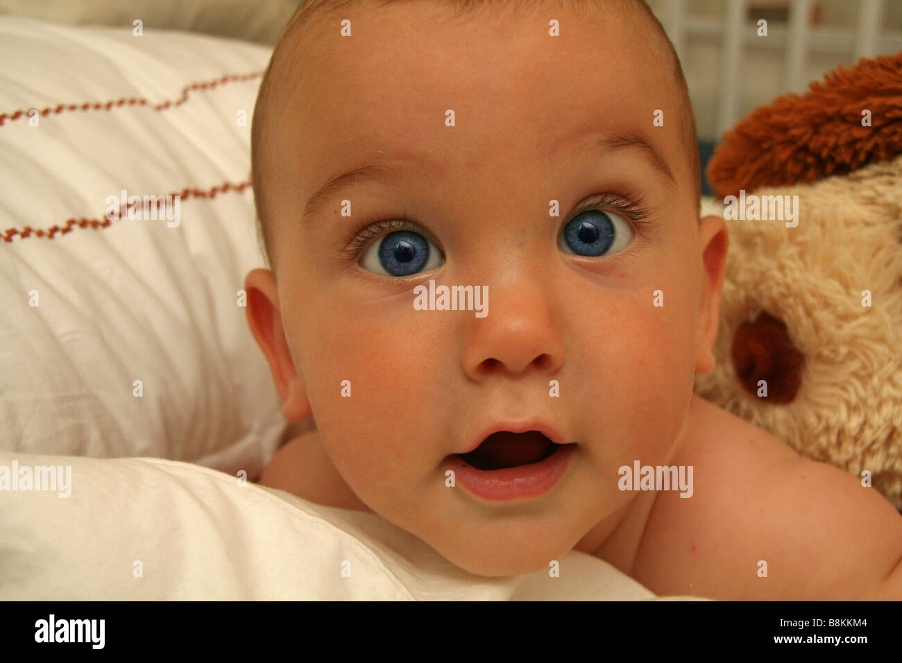 Blue eyed 8 month old baby boy looking at camera smiling Stock Photo ...