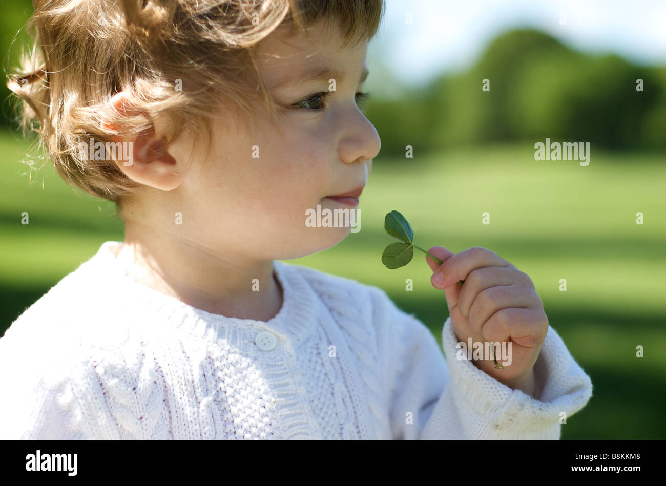Four leaf clover garden hi-res stock photography and images - Alamy
