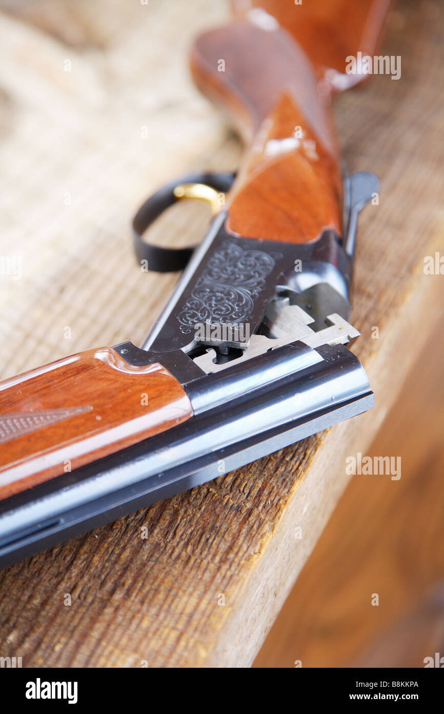 CLOSEUP TOP SIDE VIEW SIGARMS TR 20 OVER UNDER 28 GAUGE SHOTGUN Stock ...