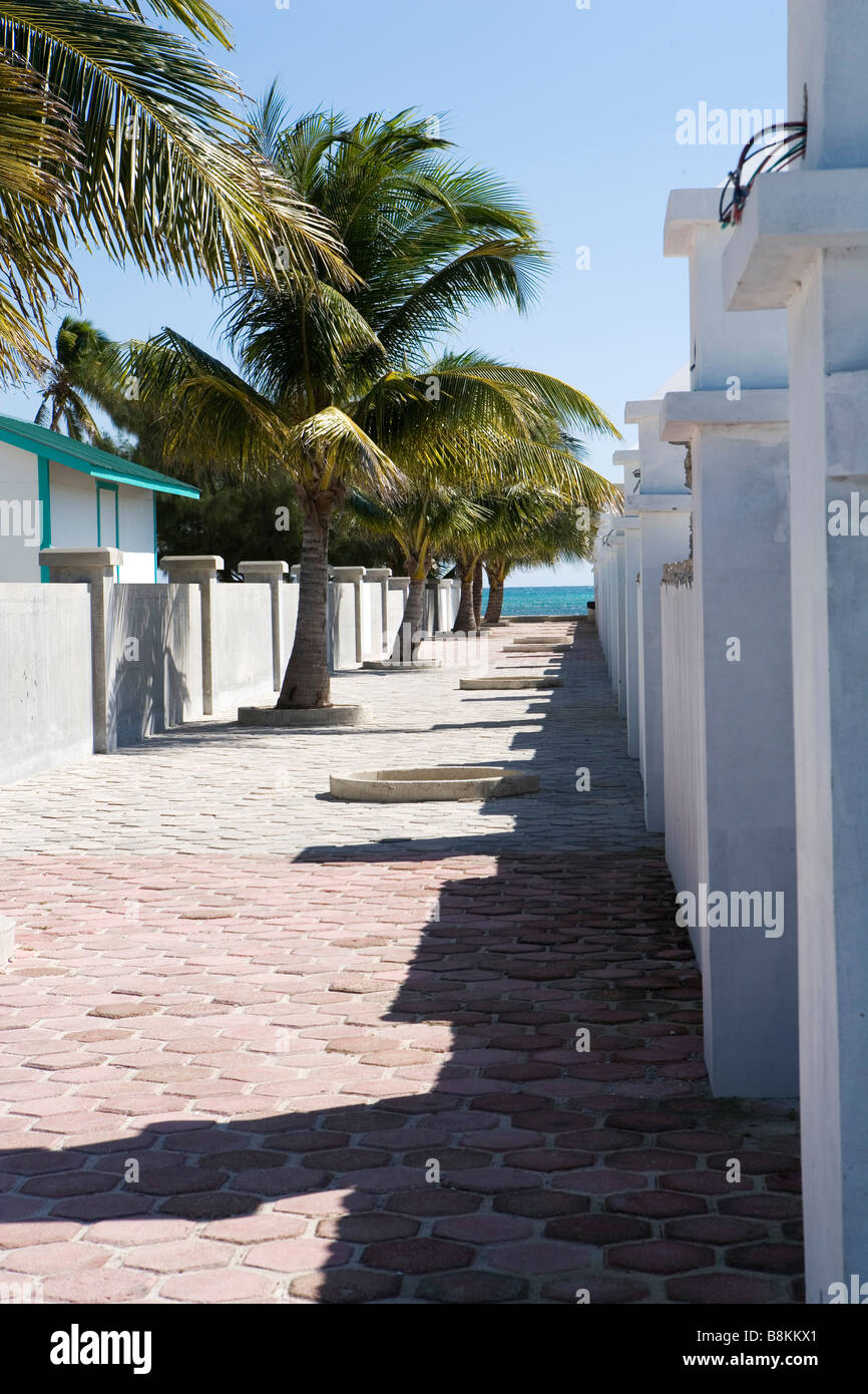 A paved walkway leads the way along white walls and palm trees to the ...