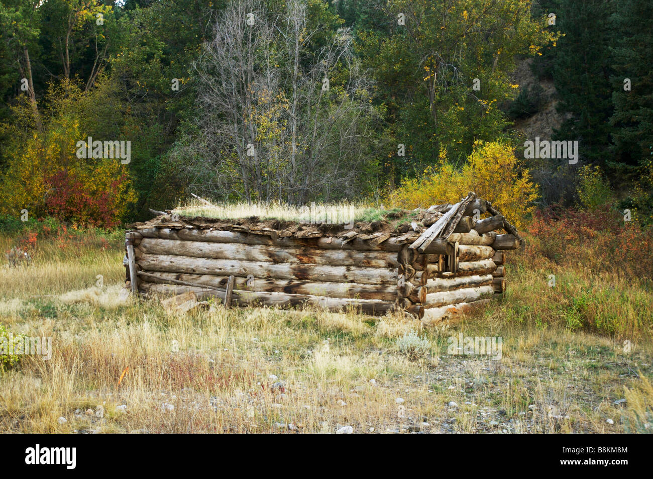 Broken down Log Cabin in an old ghost town Near Cache Creek British ...
