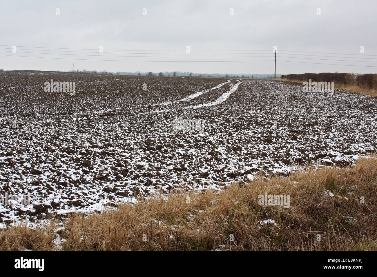 A snowy field Stock Photo - Alamy
