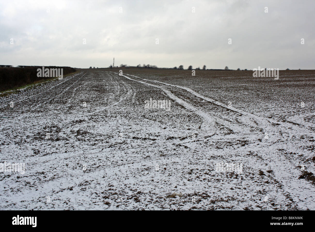 Wheel ruts hi-res stock photography and images - Alamy