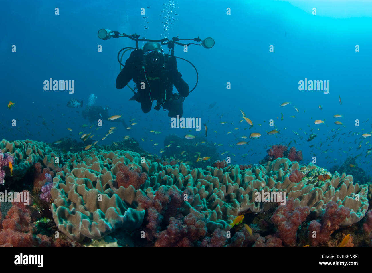 Scuba diving sodwana bay hi-res stock photography and images - Alamy