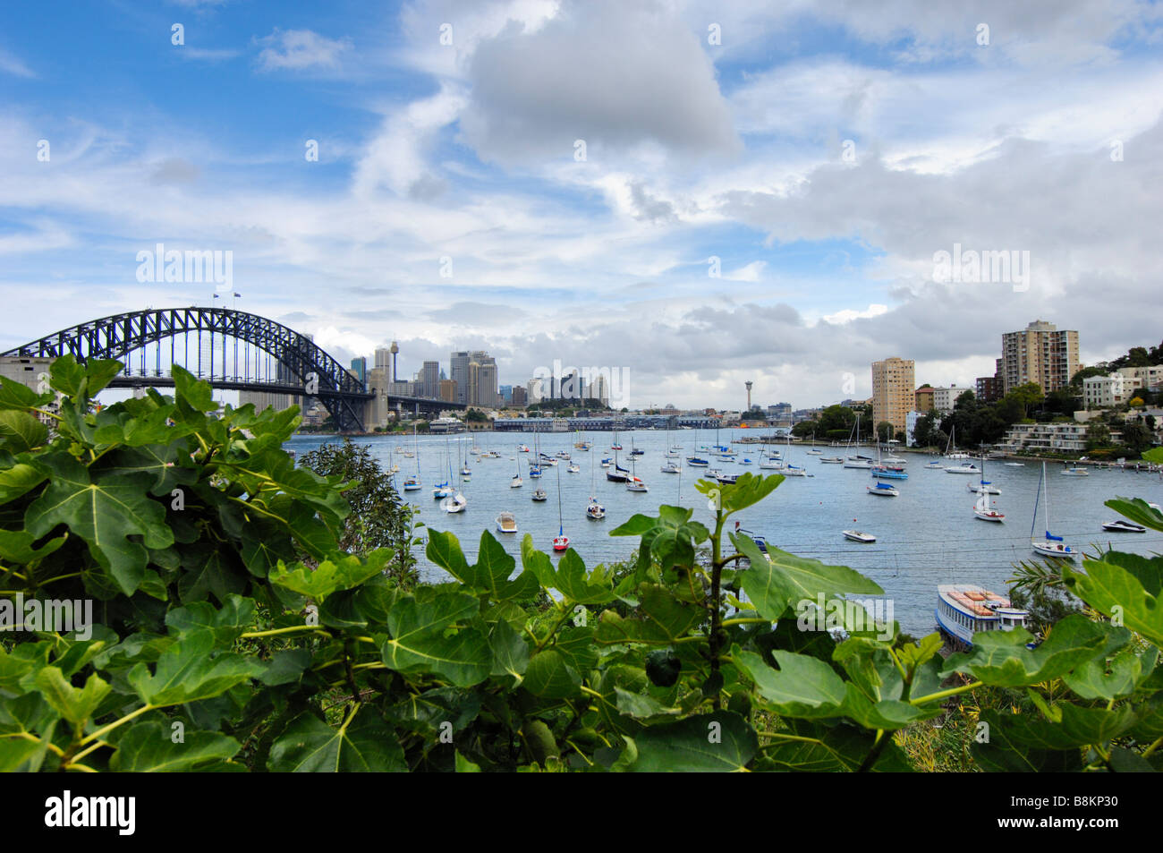 A view of Sydney and the Sydney Harbour Bridge from parkland above ...