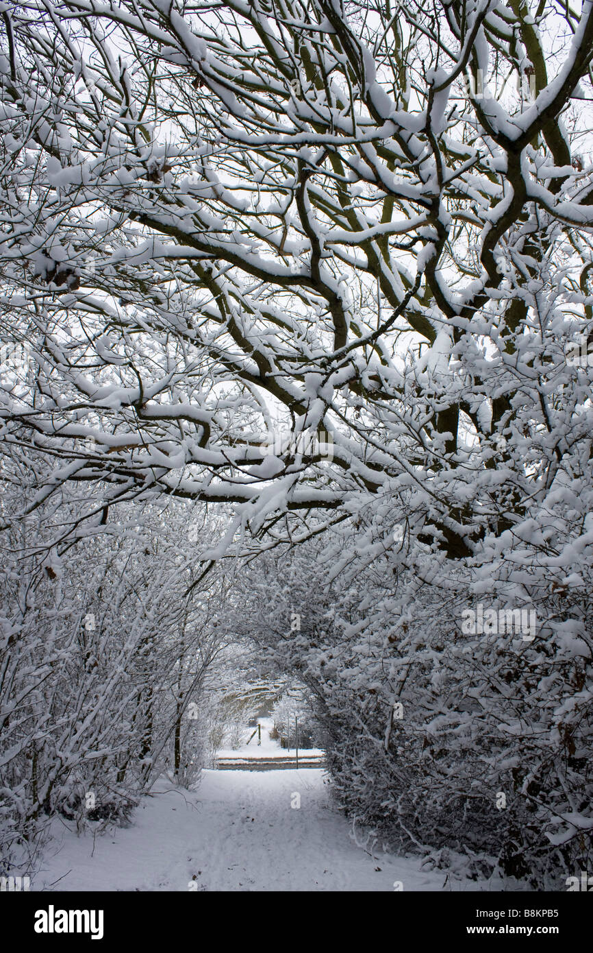 bishops stortford countryside snow winter scene hertfordshire england ...