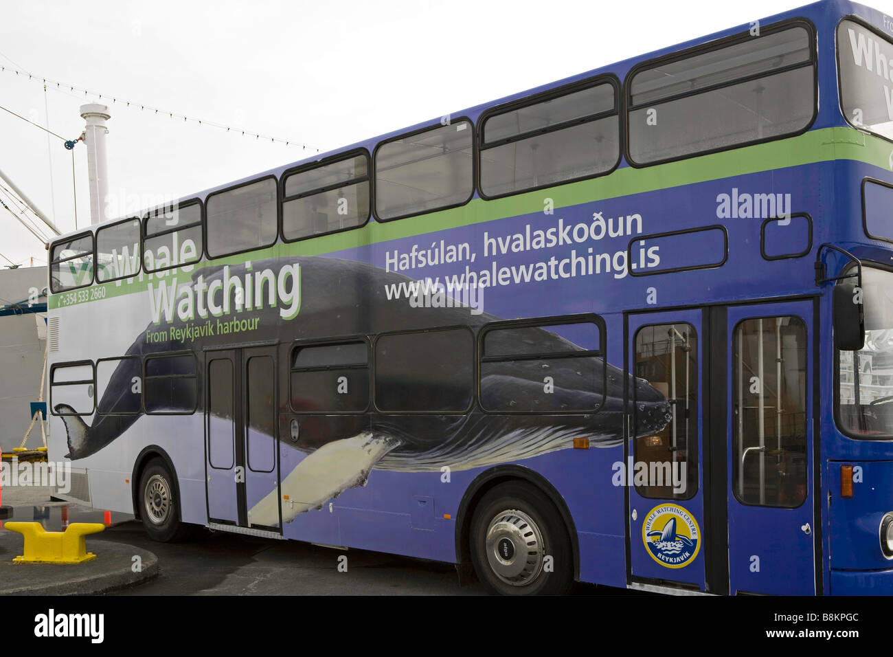 Iceland whale watching bus Stock Photo - Alamy