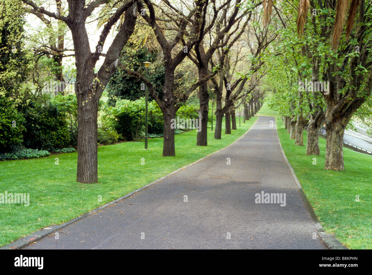 Walkway leads through park with green grass and trees Stock Photo - Alamy
