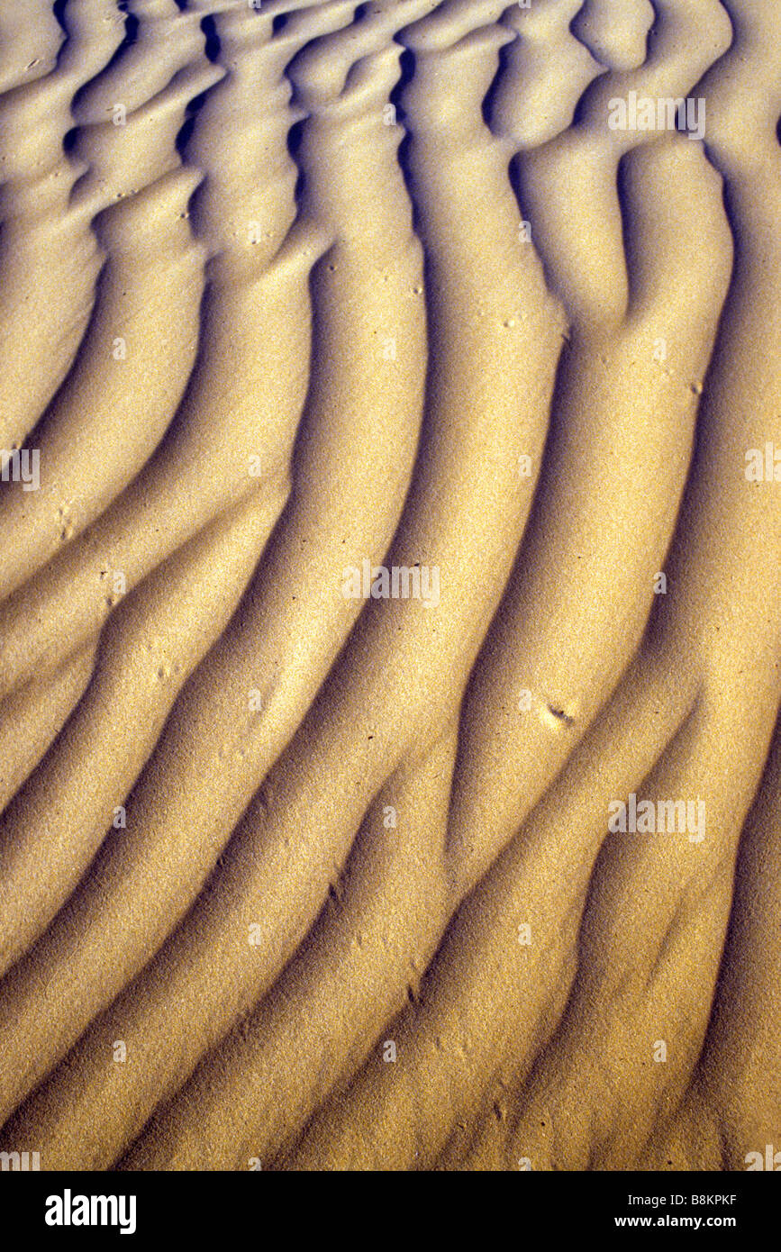 Wind forms pattern in sand dune Stock Photo - Alamy