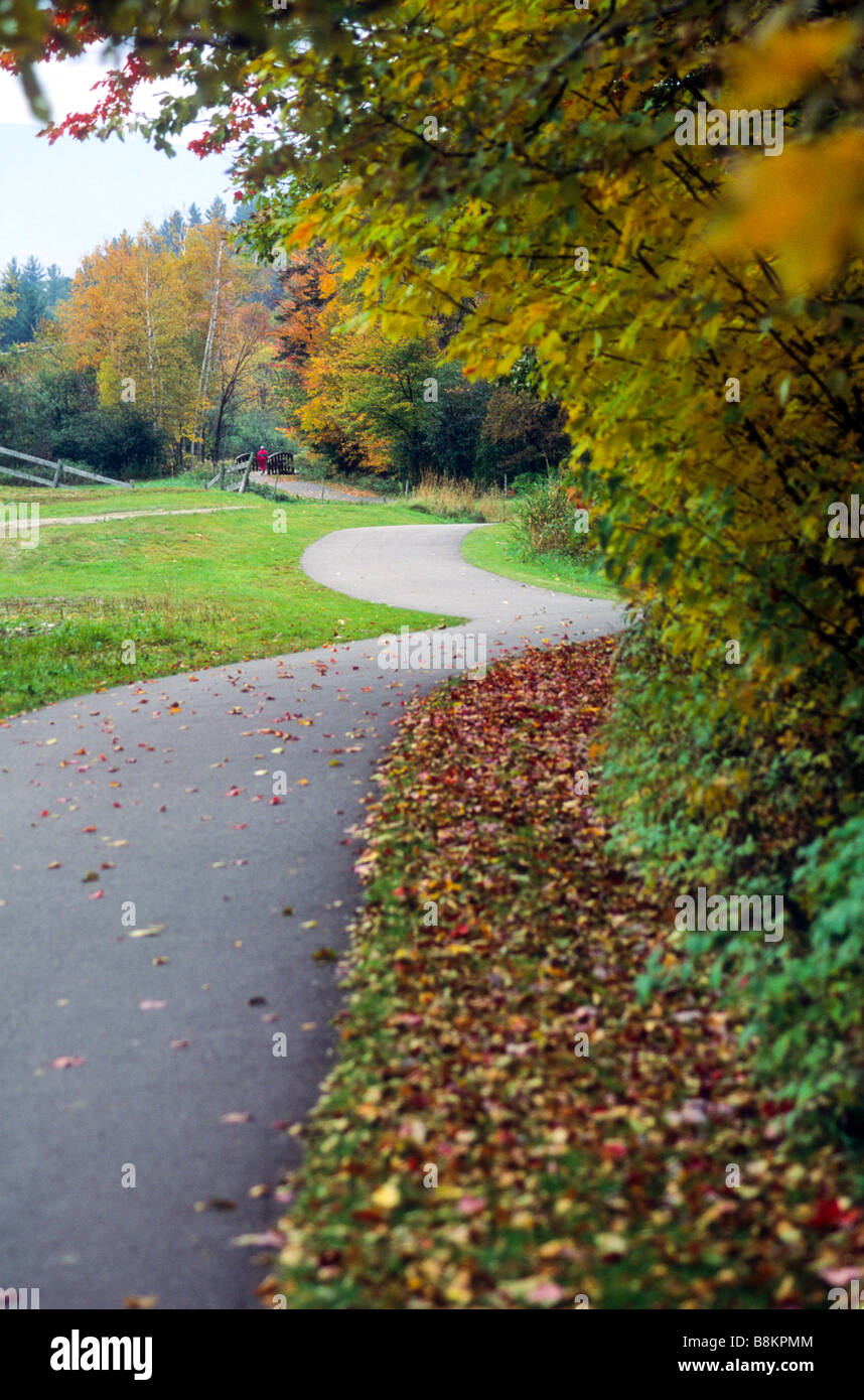 Pathway curves through fall folliage in countryside Vermont, USA Stock ...
