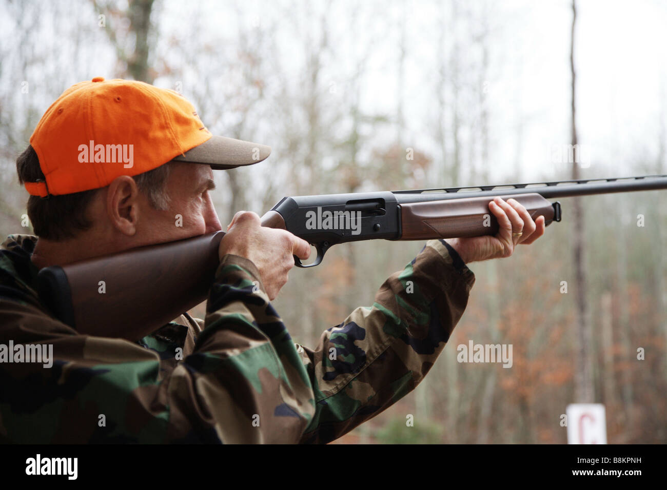 PROFILE VIEW OF SPORTING CLAY SHOOTER FIRING BERETTA SHOTGUN AT TARGET ...