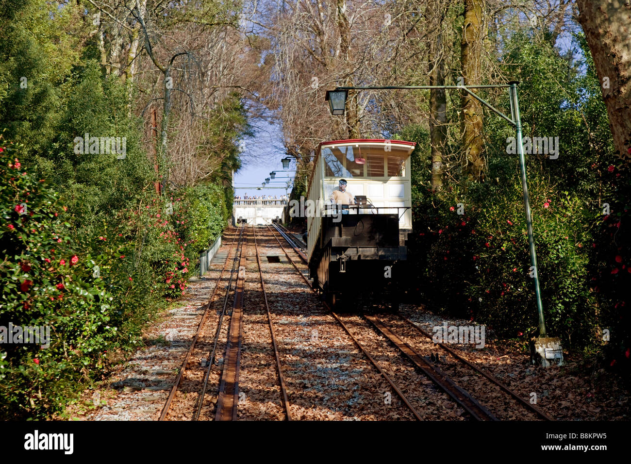 Bom jesus do monte elevator hi-res stock photography and images - Alamy