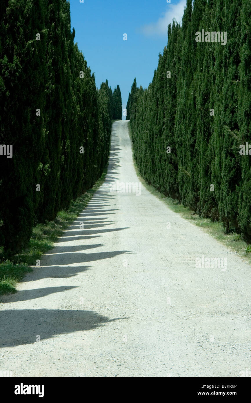 Driveway of a restaurant in Tuscany Stock Photo - Alamy
