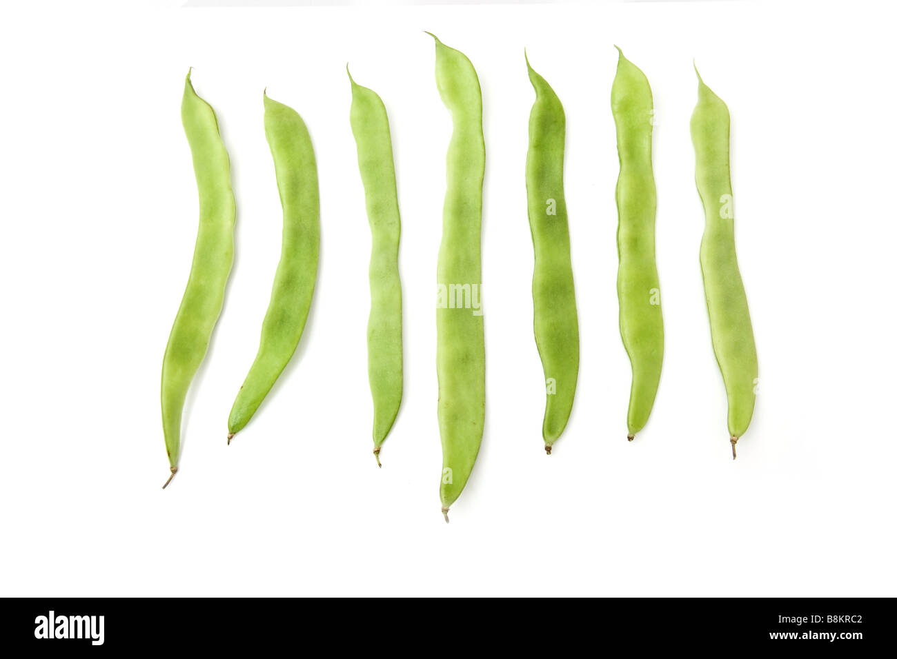 Flat beans isolated on a white studio background Stock Photo - Alamy