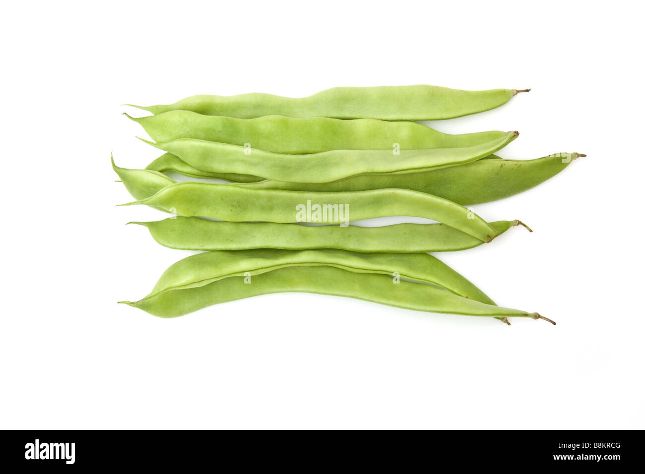 Flat Green Beans Name