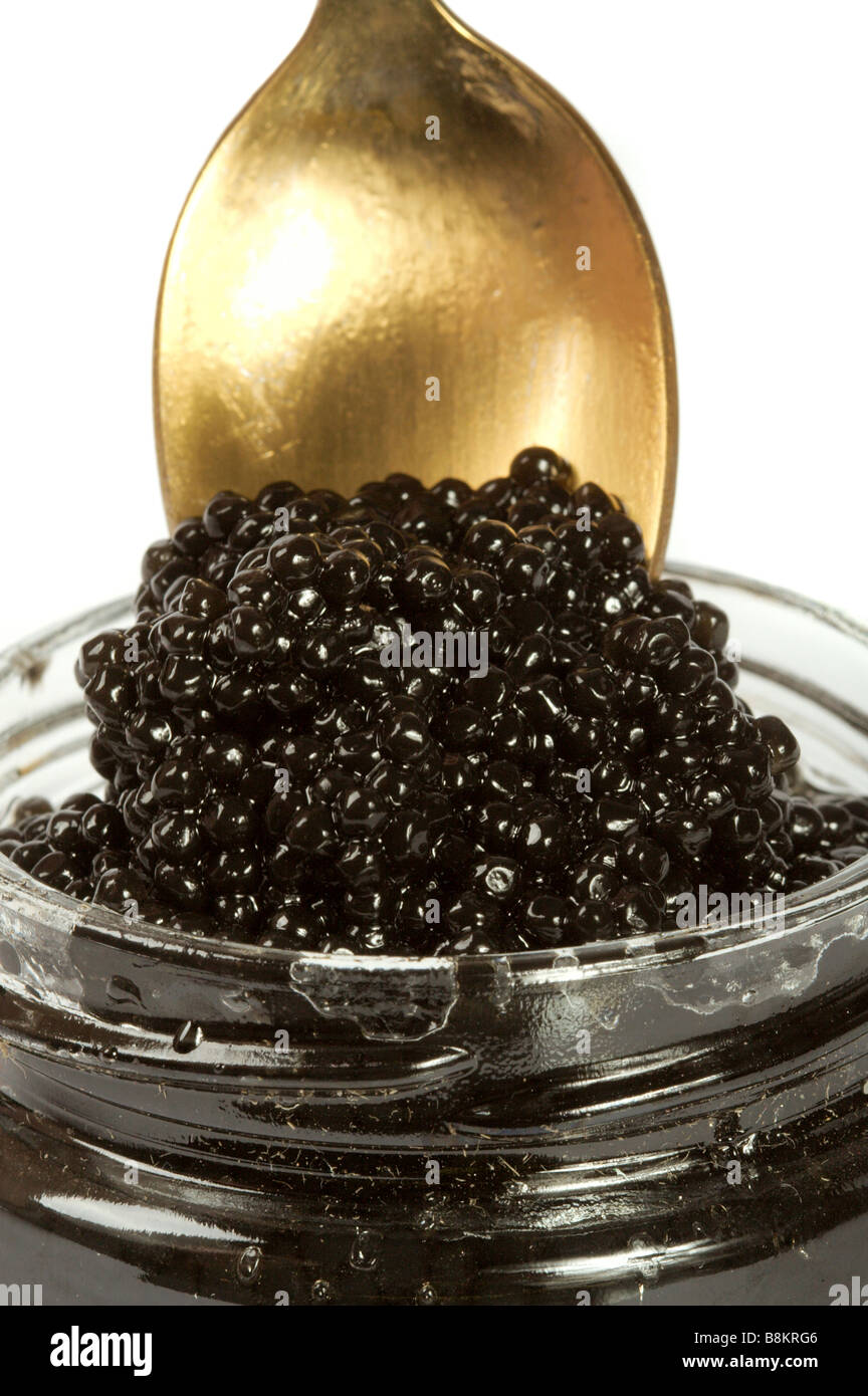 Beluga Whale Caviar