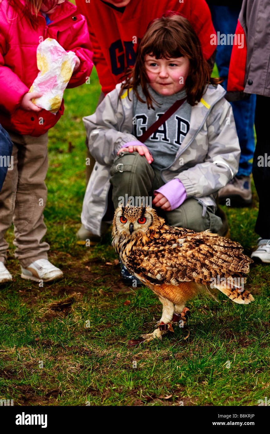 Girl owl hi-res stock photography and images - Alamy