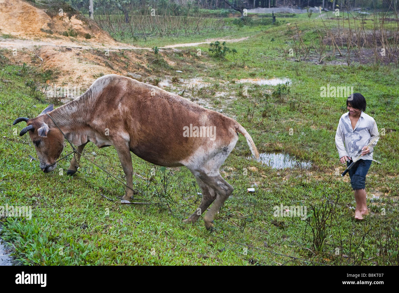 Man with buffalo hi-res stock photography and images - Alamy