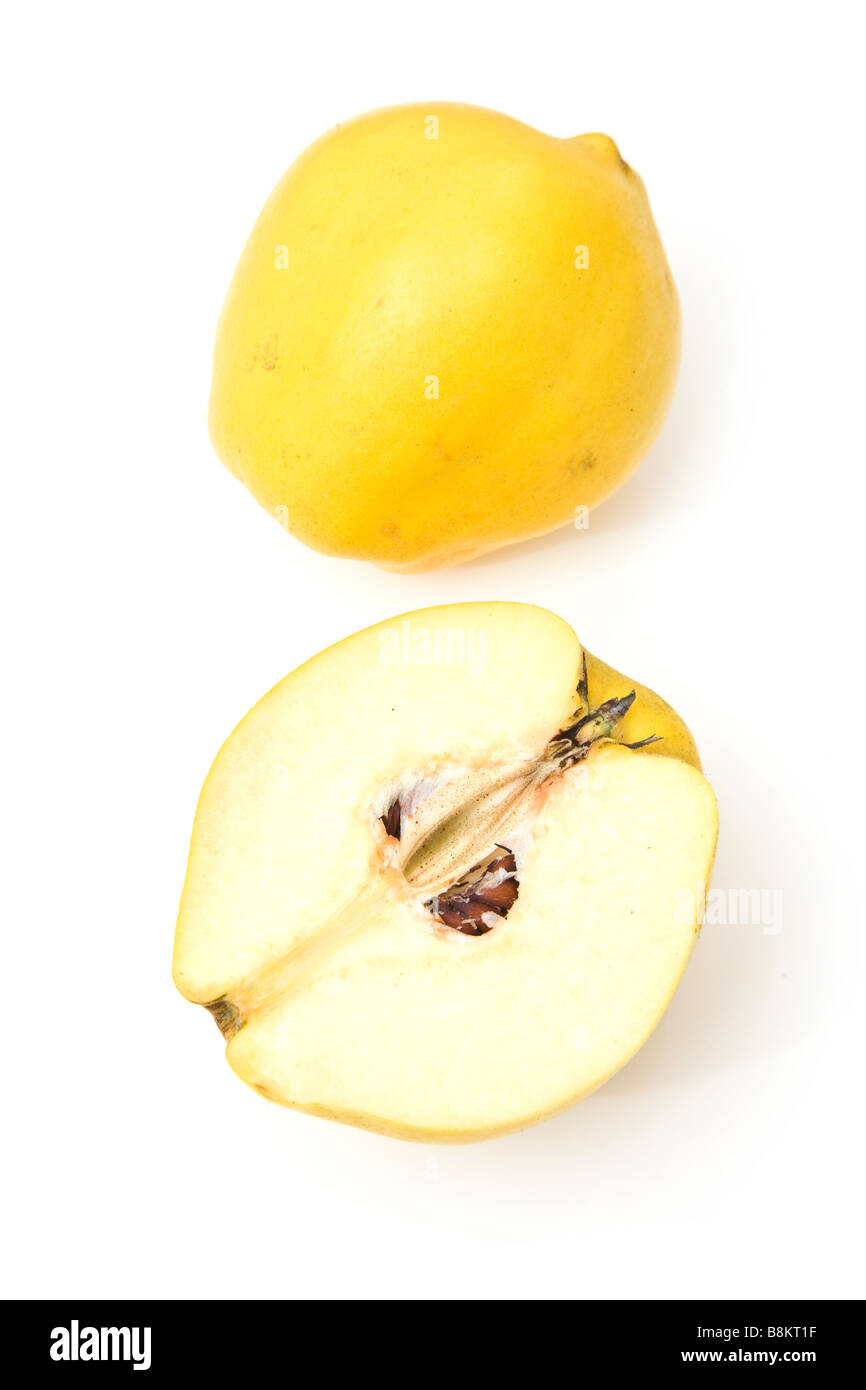 Quince isolated on a white studio background Stock Photo - Alamy