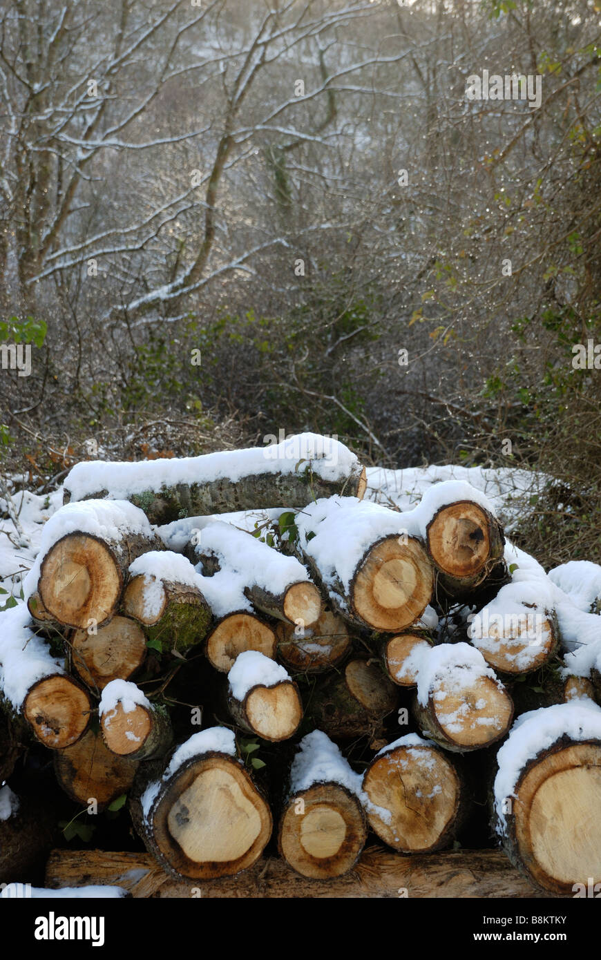 Seasoning logs hi-res stock photography and images - Alamy