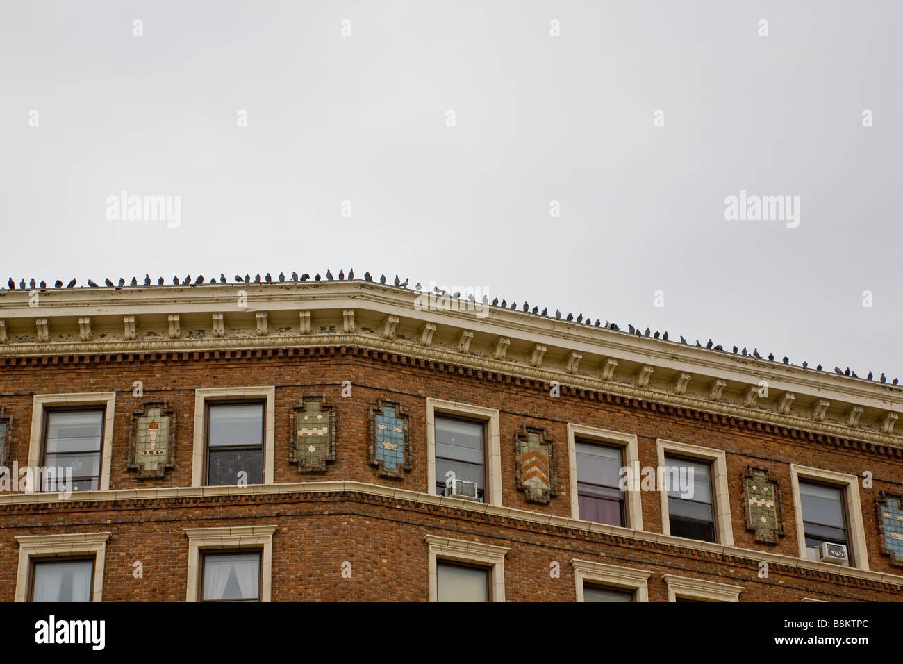 Pigeons perch along the roofline of a brick building Stock Photo - Alamy