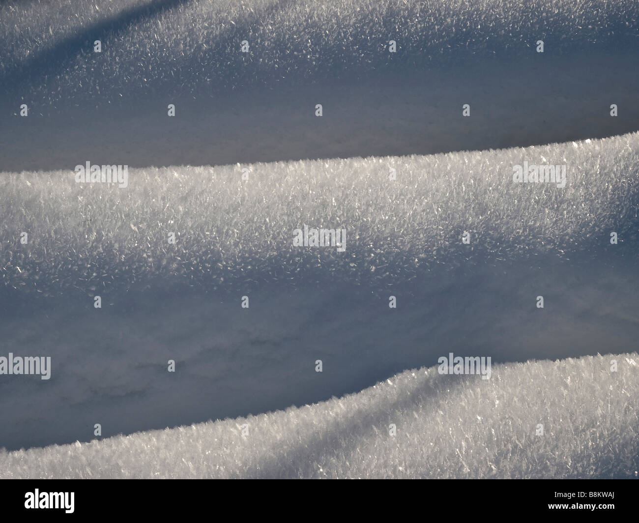 much felled boles lying under snow glinting Stock Photo - Alamy