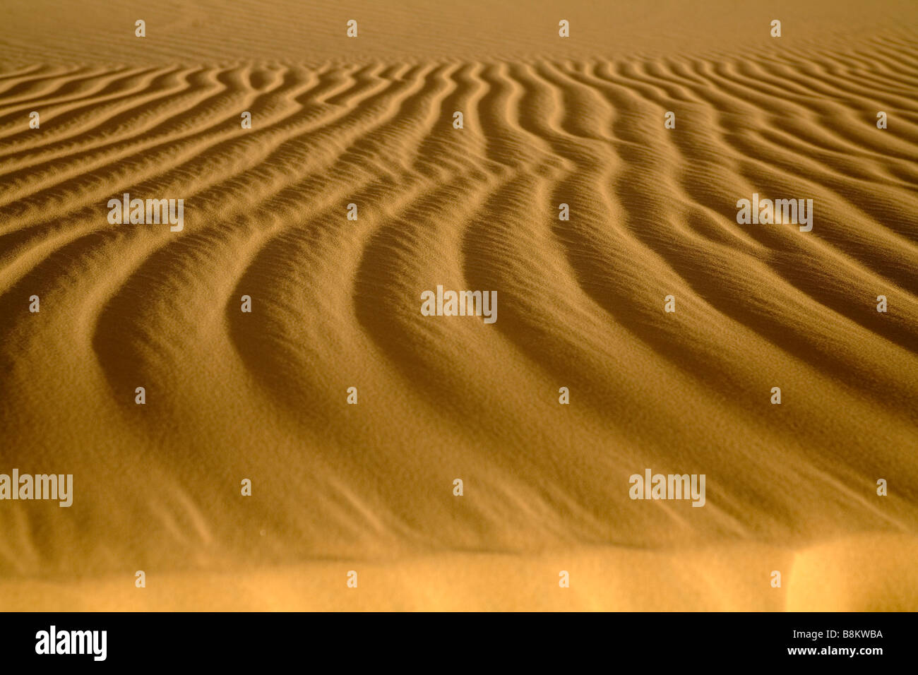 sand on Sahara desert, Sudan Stock Photo - Alamy