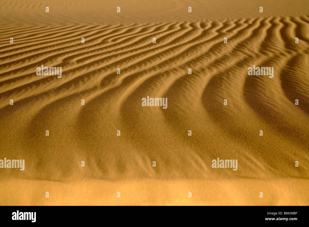 sand on Sahara desert, Sudan Stock Photo - Alamy