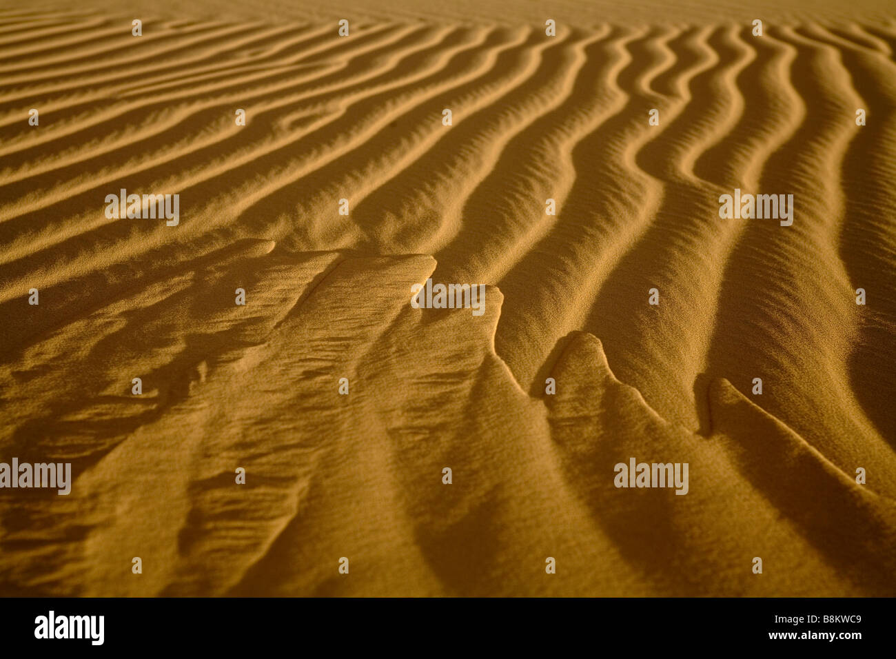 sand on Sahara desert, Sudan Stock Photo - Alamy