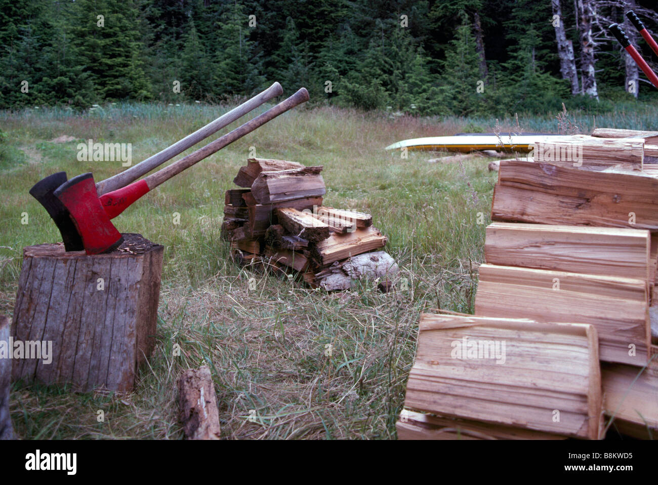 Axes for Chopping and Splitting Wood embedded in a Log beside a ...