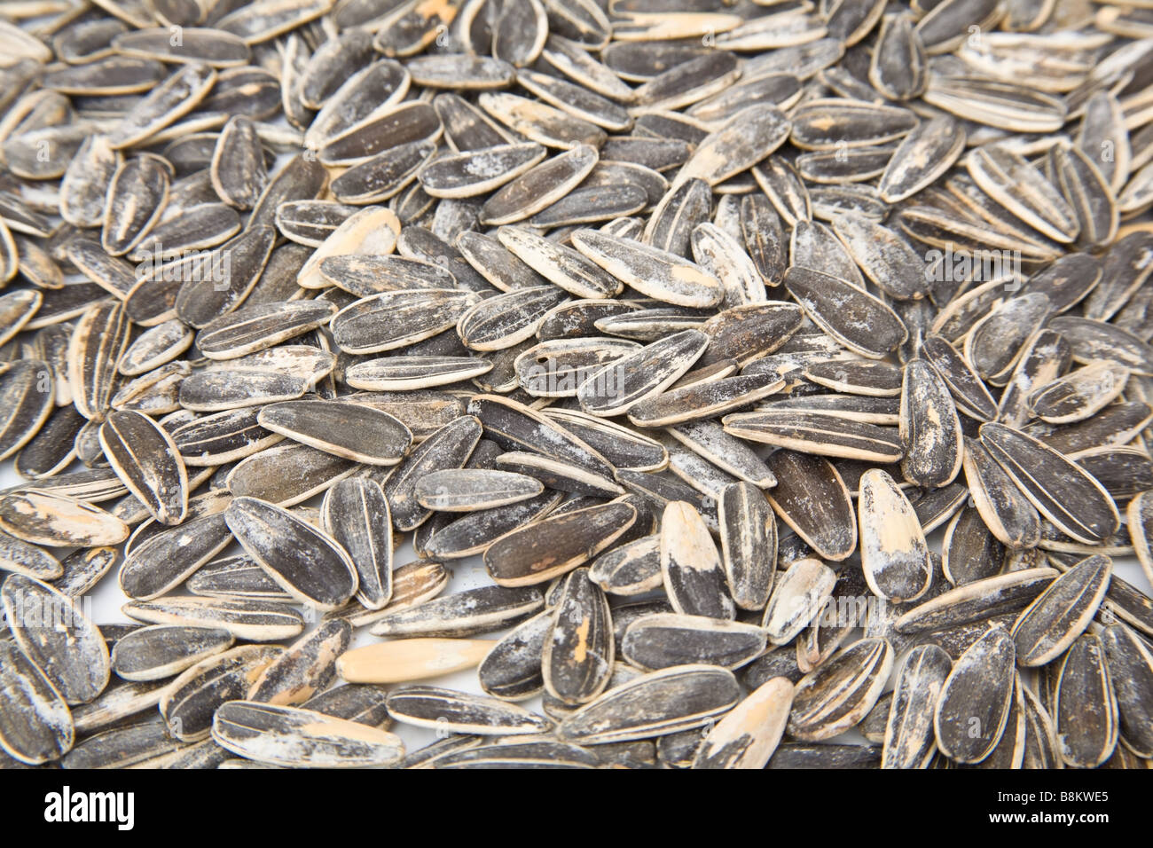 Sunflower seeds full frame hi-res stock photography and images - Alamy